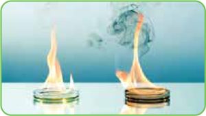 HVO Factsheet - FIREBIRD IRELAND